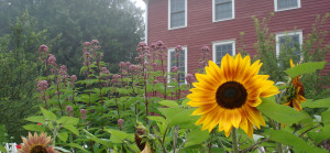 Photo Tour at Blacksmith Inn on the Shore